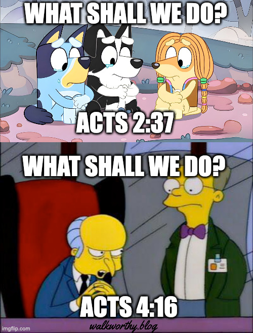 What Shall We Do? – Walk Worthy